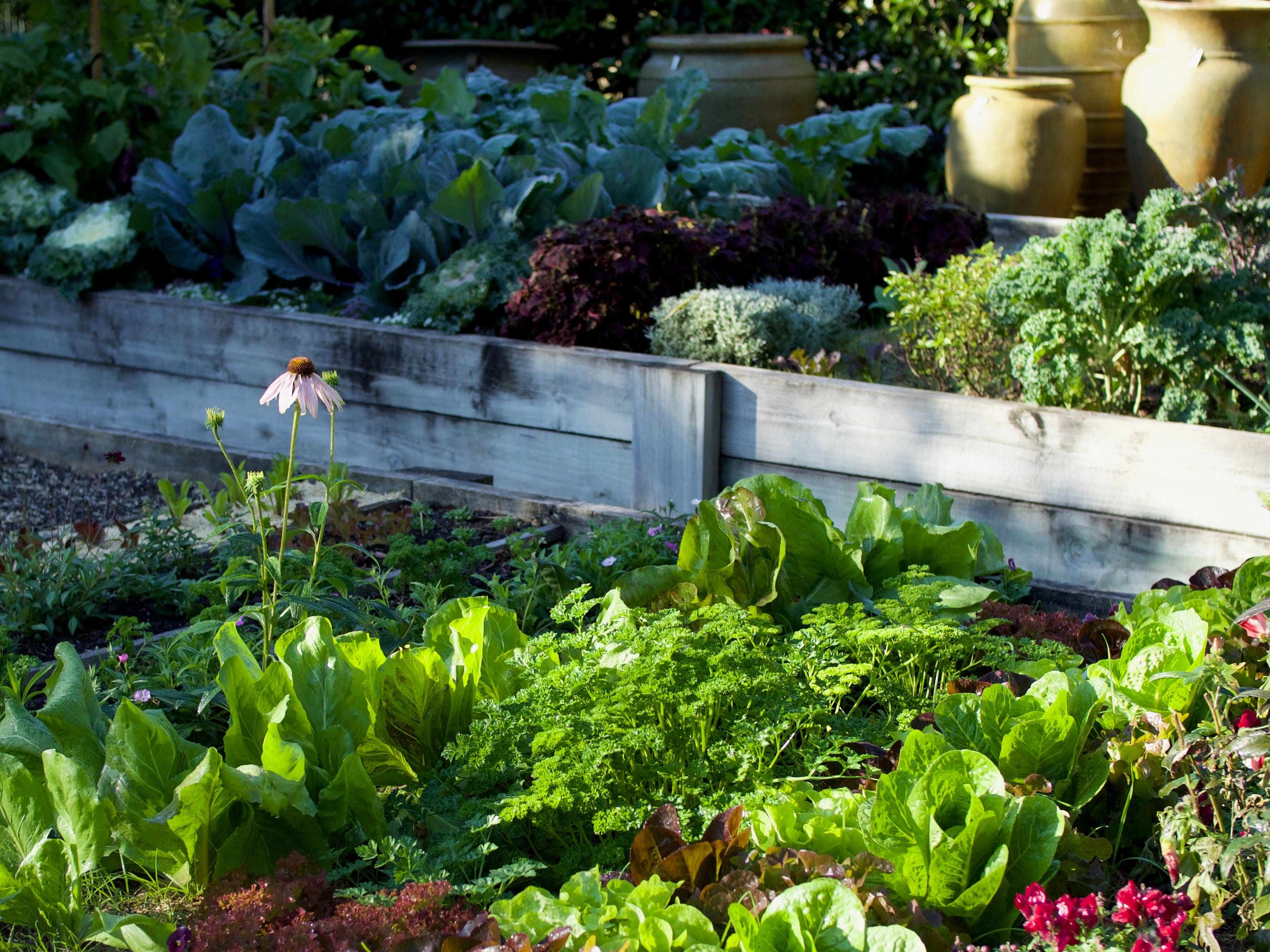 Feeding And Mulching Your Vegetable Garden