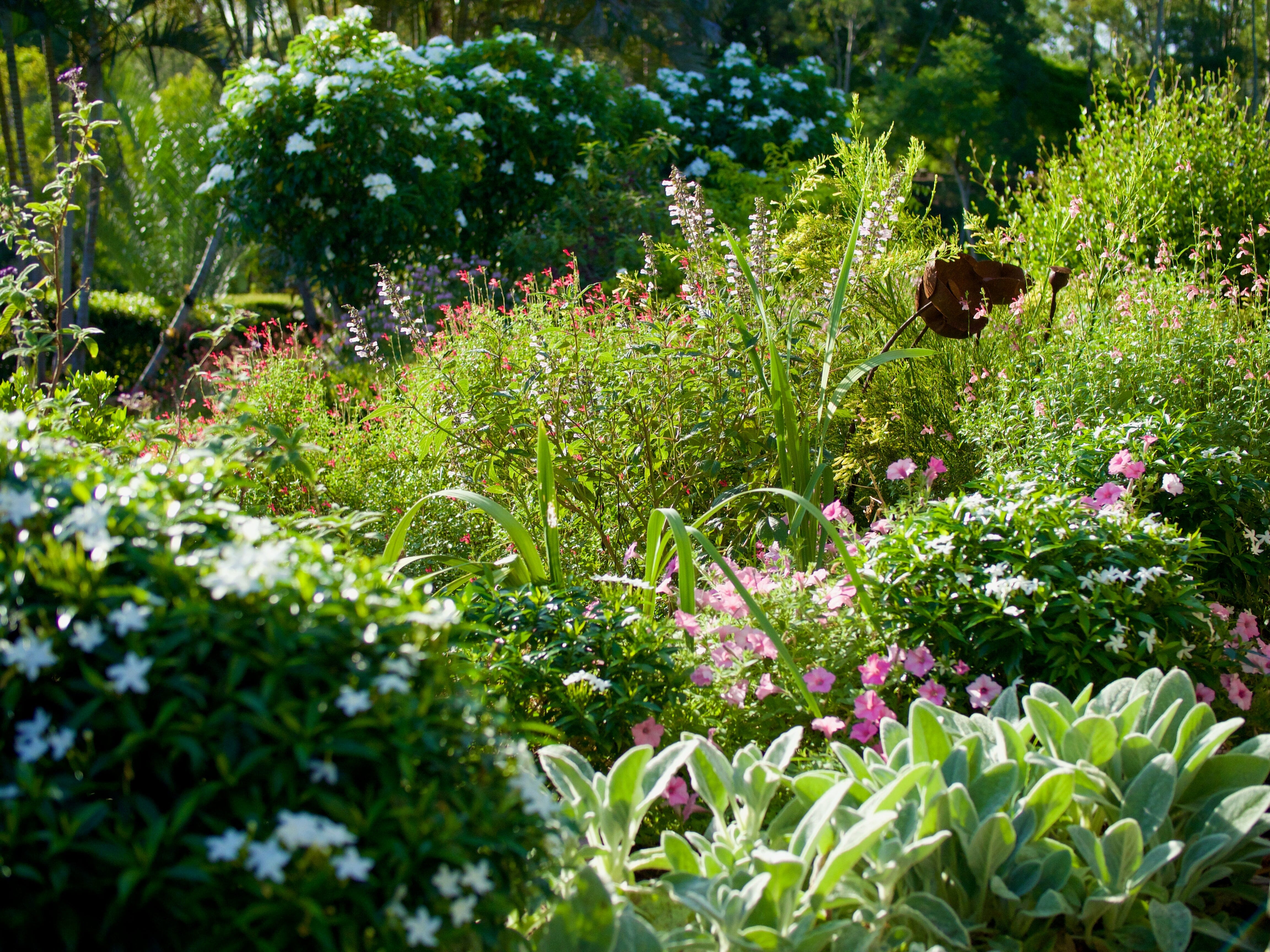 Cottage Farms Perennials