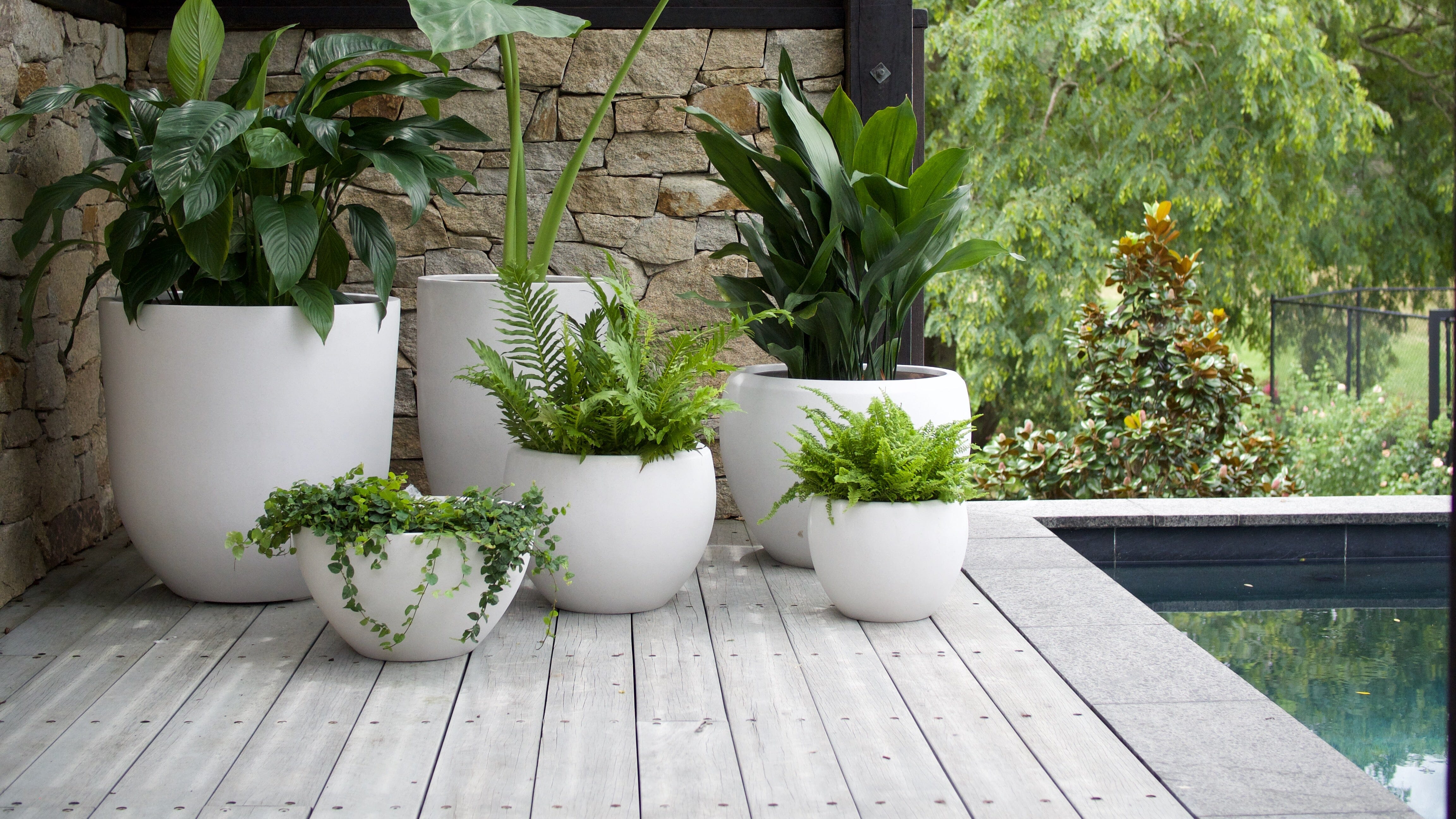 Lightweight Garden Planter Black Lightweight Concrete Modern Tapered