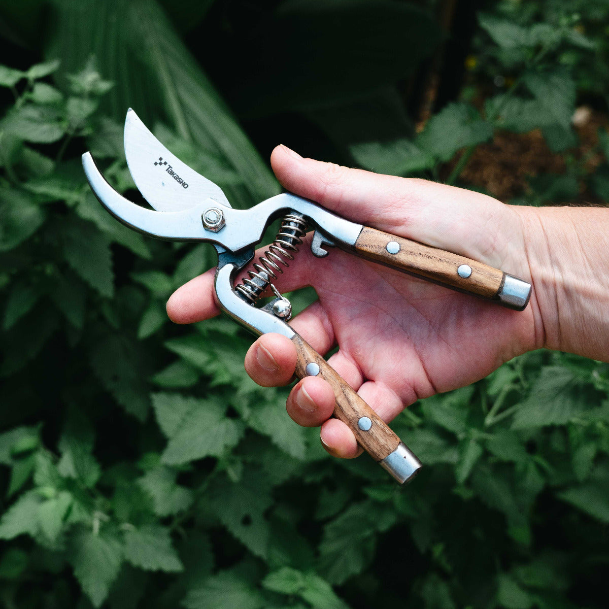 Secateurs Forged Carbon Steel