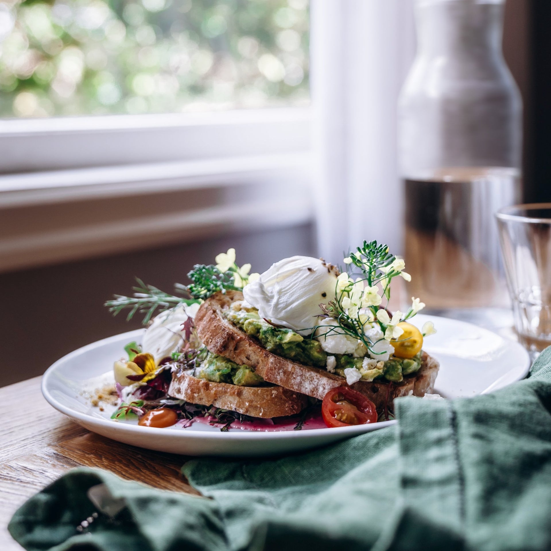 Growing Roses in Brisbane