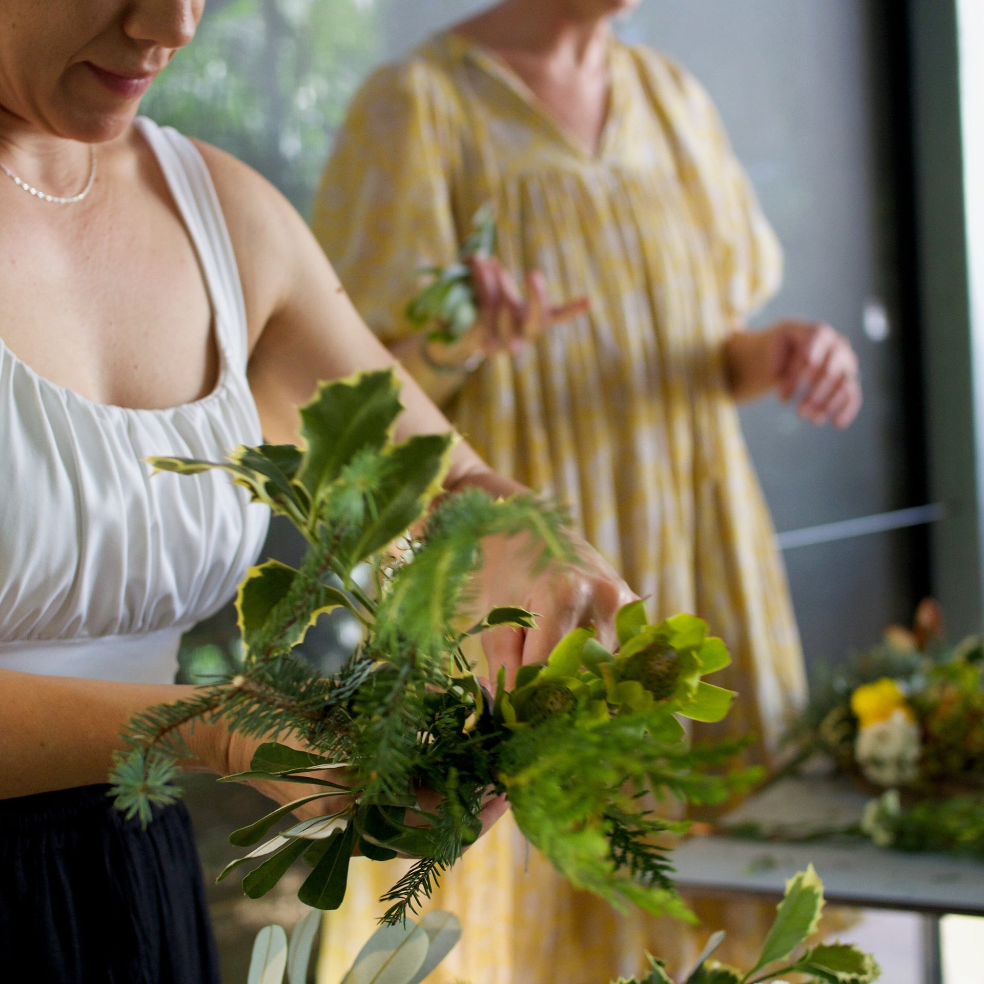 Growing Roses in Brisbane