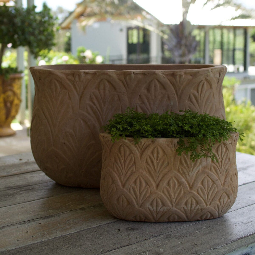 Terracotta